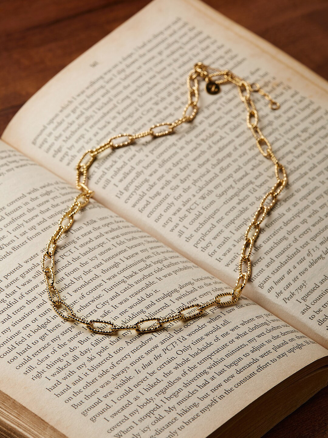 Buy Accessorize London 14K Gold Plated Gold Z Diamond Cut Stamp Chain ...