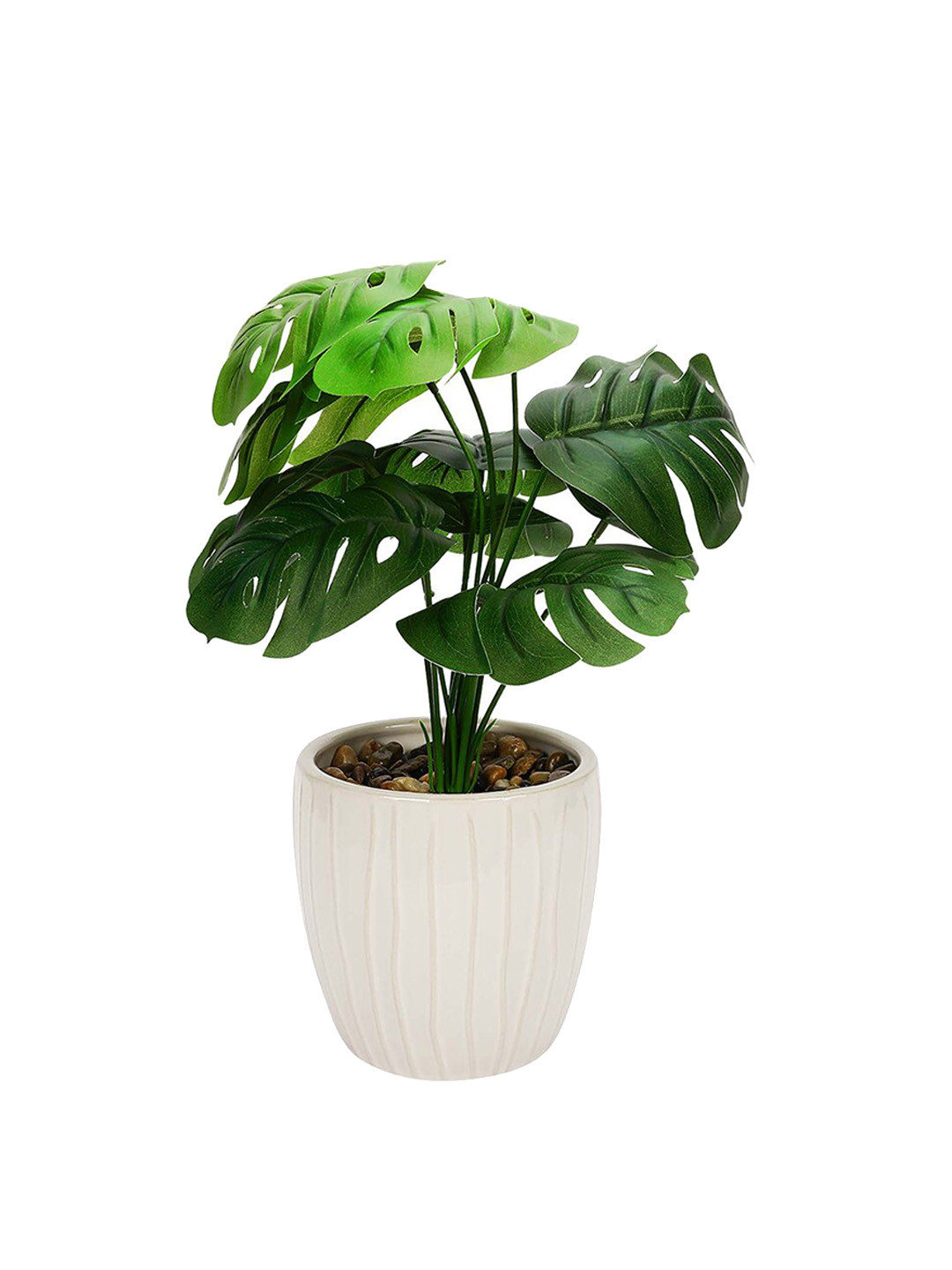 Buy Anko White & Green Artificial Monstera Plant In Ceramic Pot ...