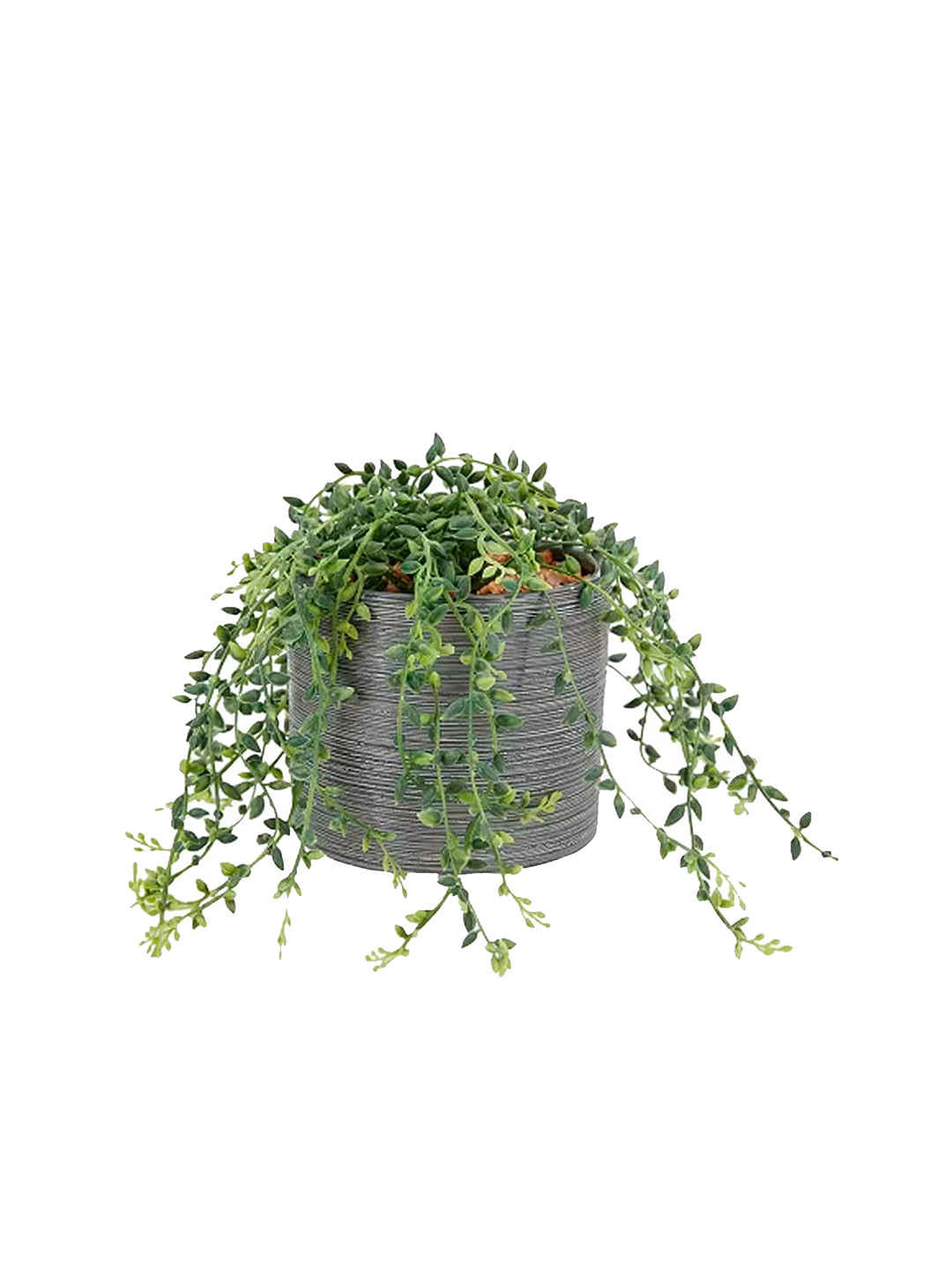 Buy Anko Grey Artificial Plant With Pot - Artificial Flowers And Plants ...