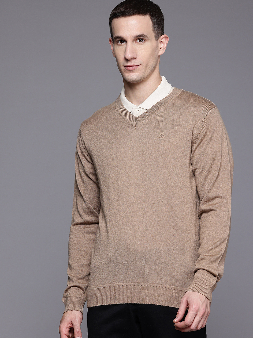 Buy Raymond V Neck Formal Pullover - Sweaters for Men 24309040 | Myntra
