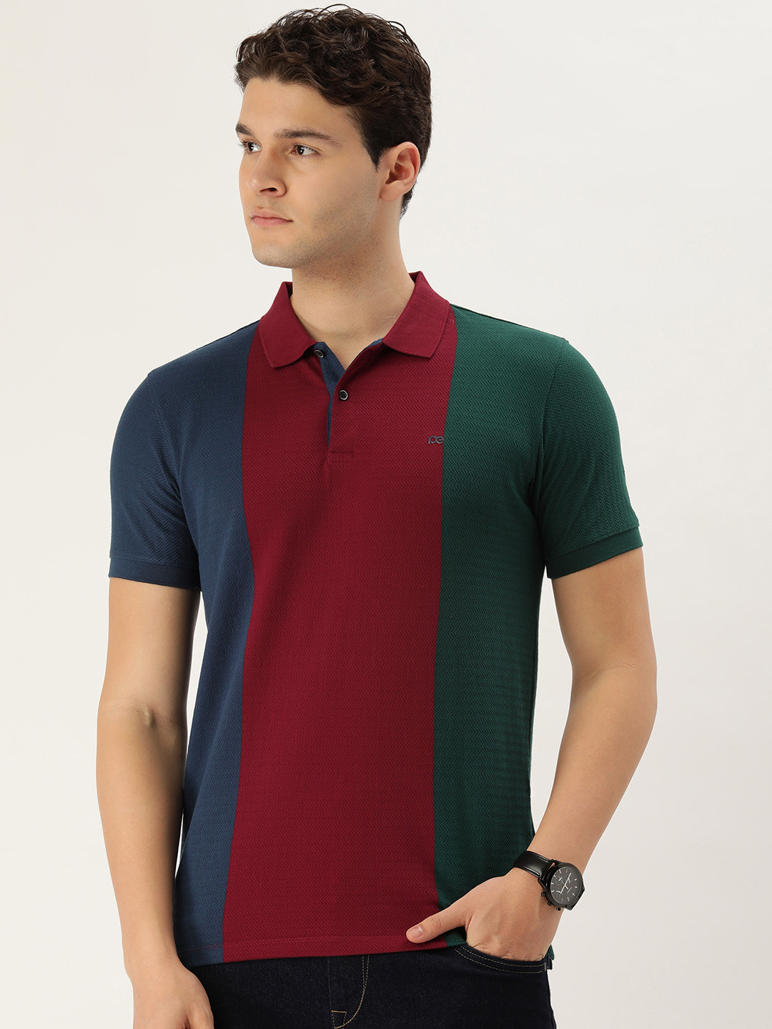 Buy Peter England Men Colourblocked Polo Collar Slim Fit T Shirt ...