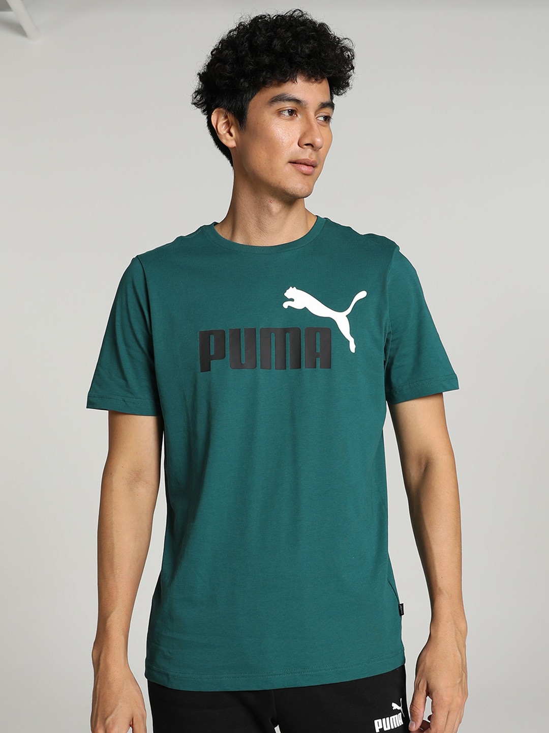 Buy Puma Essentials+ 2 Colour Logo T Shirt - Tshirts for Men 24539556 ...