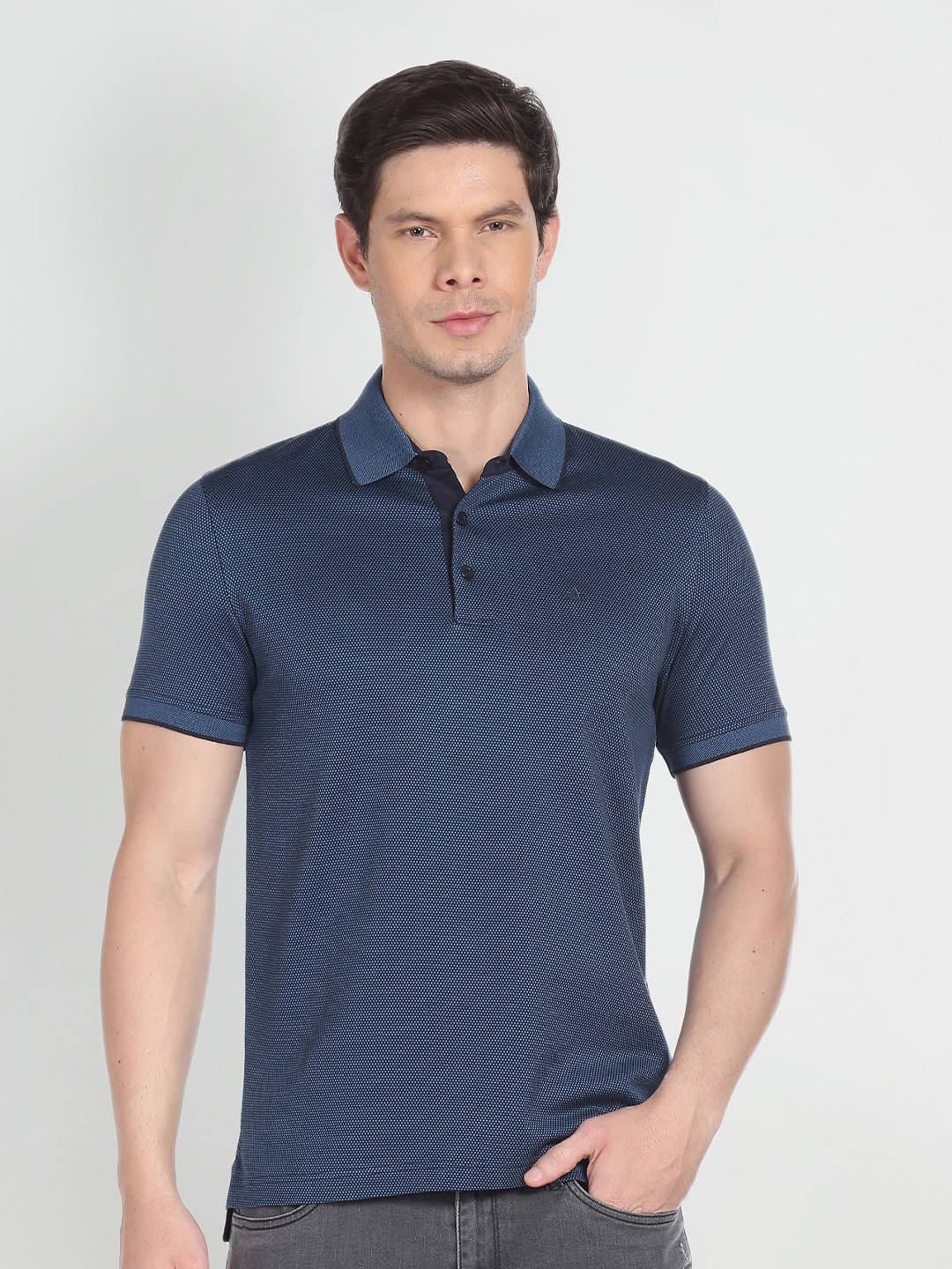 Buy Arrow Polo Collar Regular T Shirt - Tshirts for Men 24644974 | Myntra