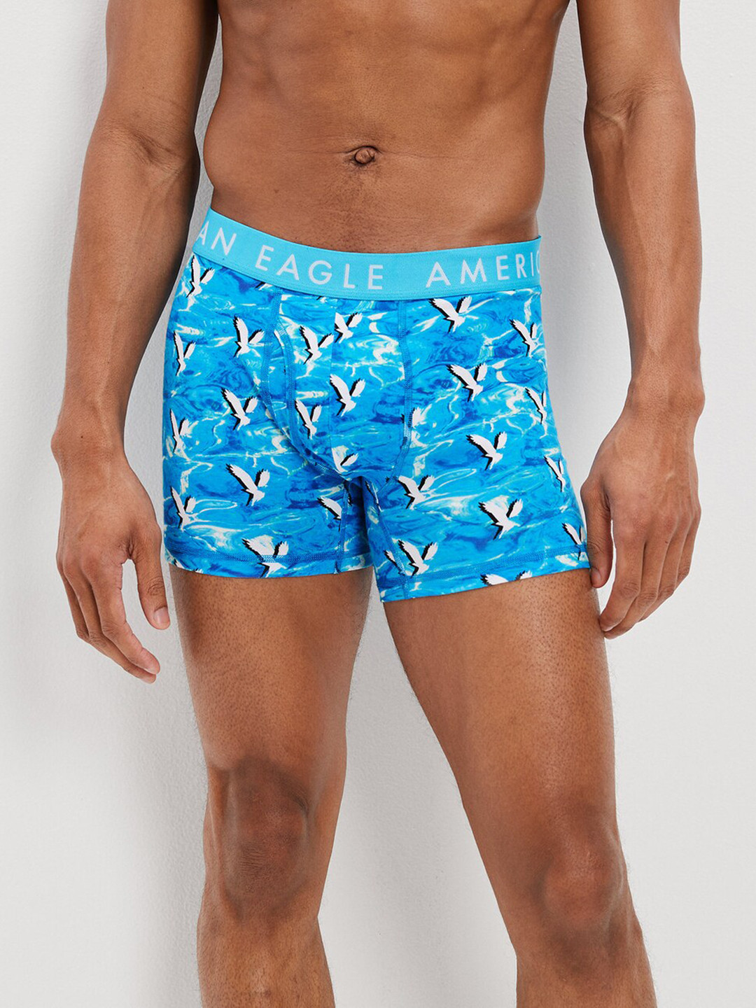 Buy AMERICAN EAGLE OUTFITTERS Conversational Printed Boxer Style Brief ...