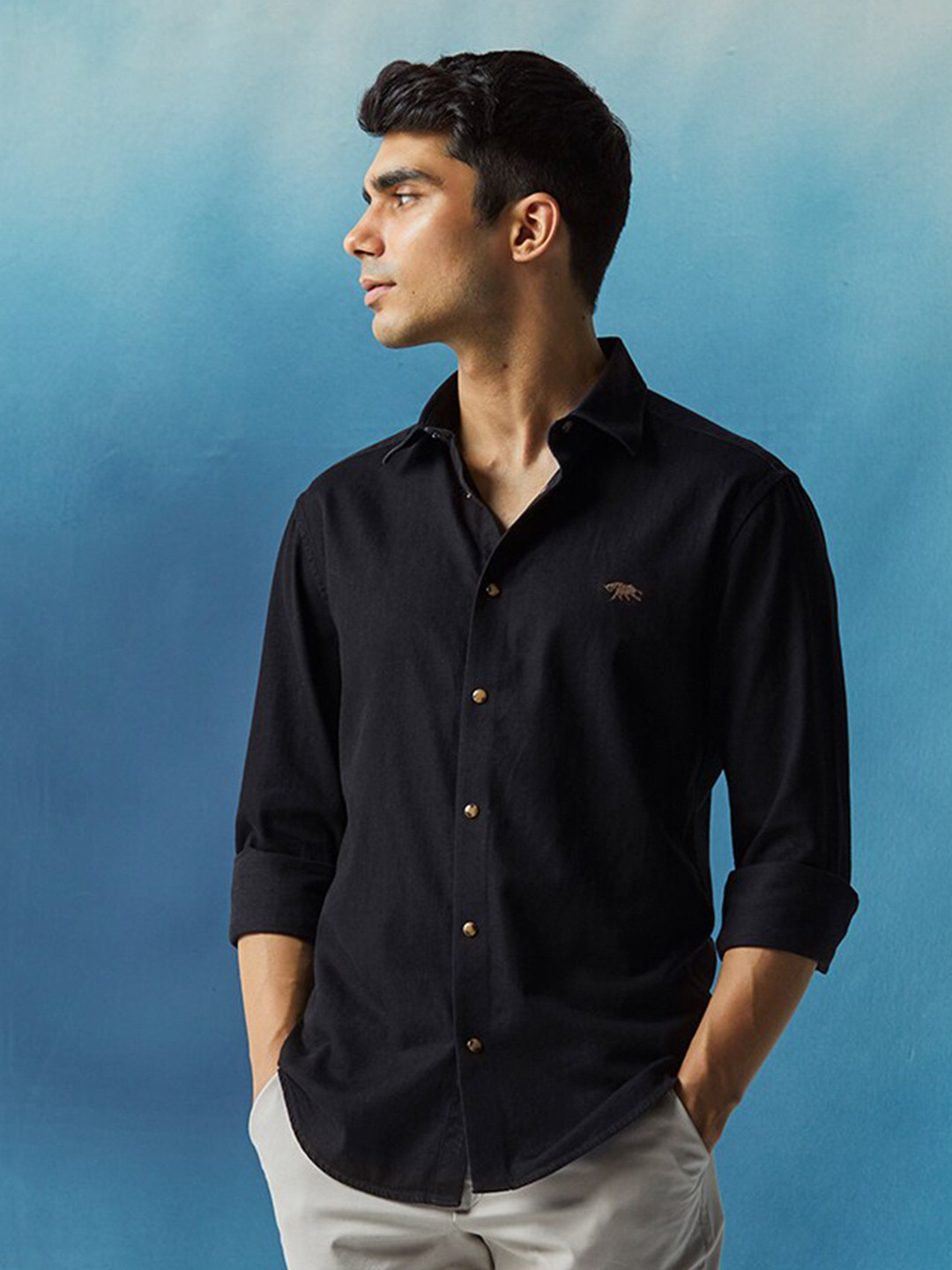 Buy Andamen Premium Regular Fit Cotton Casual Shirt - Shirts for Men ...