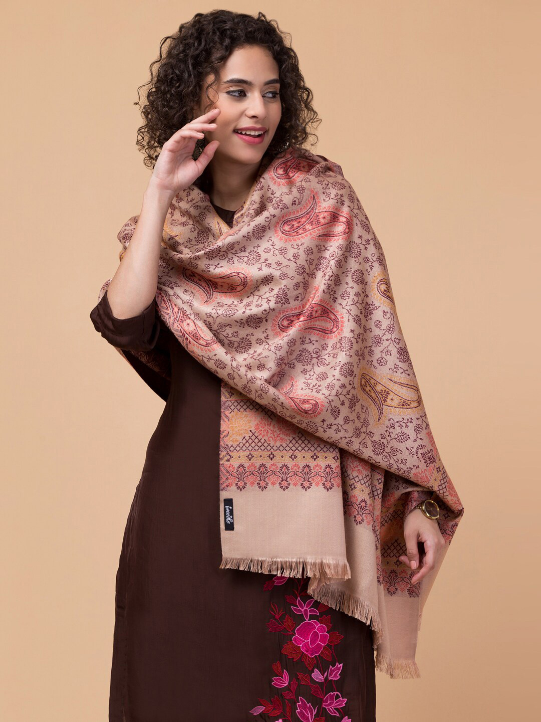 Buy Tweedle Paisley Pattern Woven Design Shawl - Shawl for Women ...