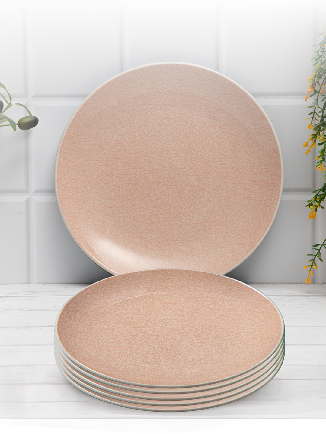 Buy Anko Pink 6 Pieces Stoneware Glossy Plates - Plates for Unisex ...