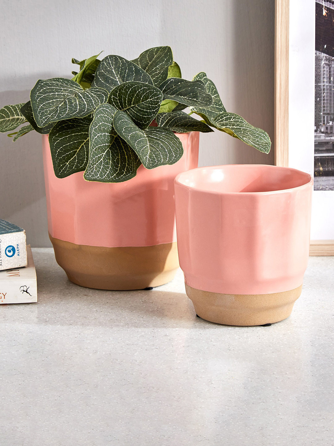 Buy Home Centre Colour Refresh Pink Ceramic Round Planter - Planters ...