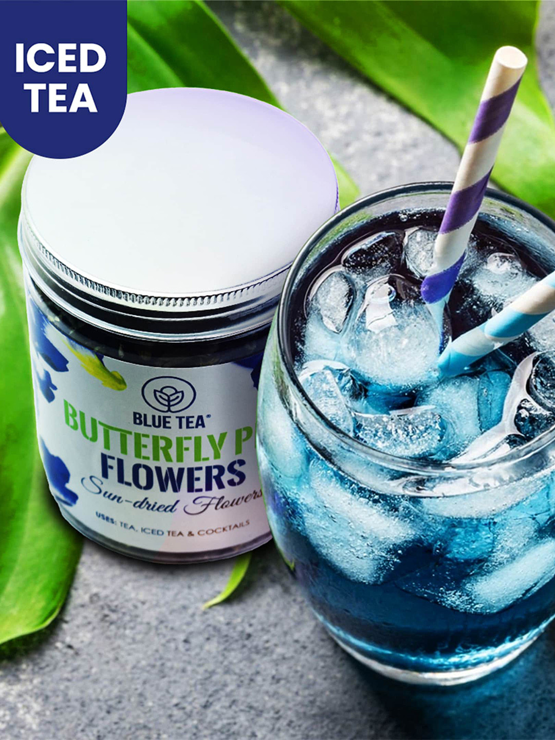 Buy BLUE TEA Butterfly Pea Flower Iced Tea 50 Gms - Tea for Unisex ...