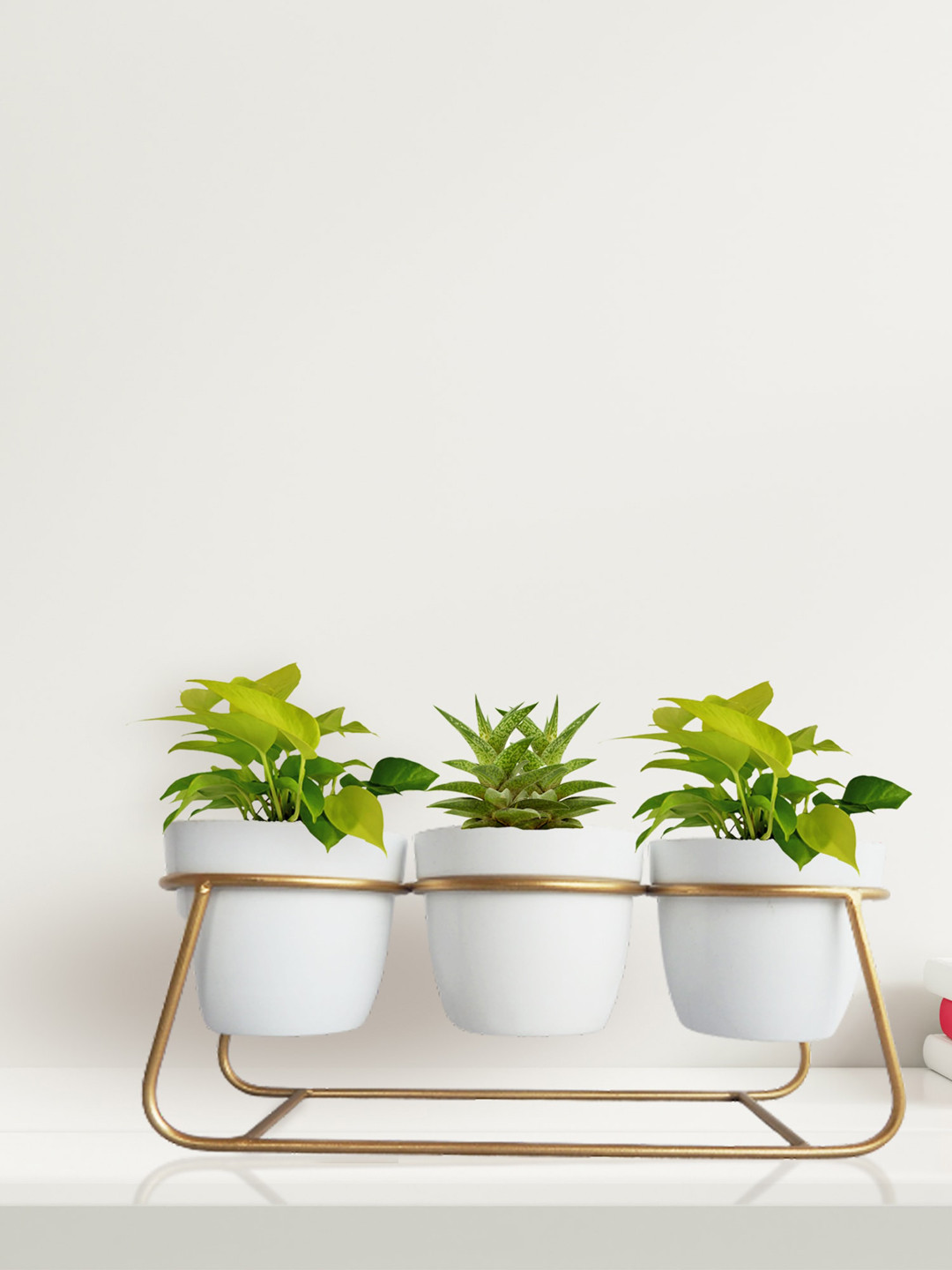 Buy Ecofynd Bella White 3 Pieces Metal Planters With Stand - Planters ...