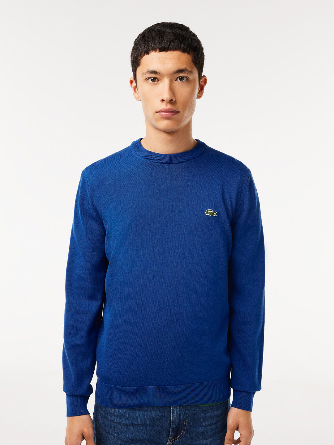 Buy Lacoste Round Neck Cotton Pullover Sweater - Sweaters for Men ...
