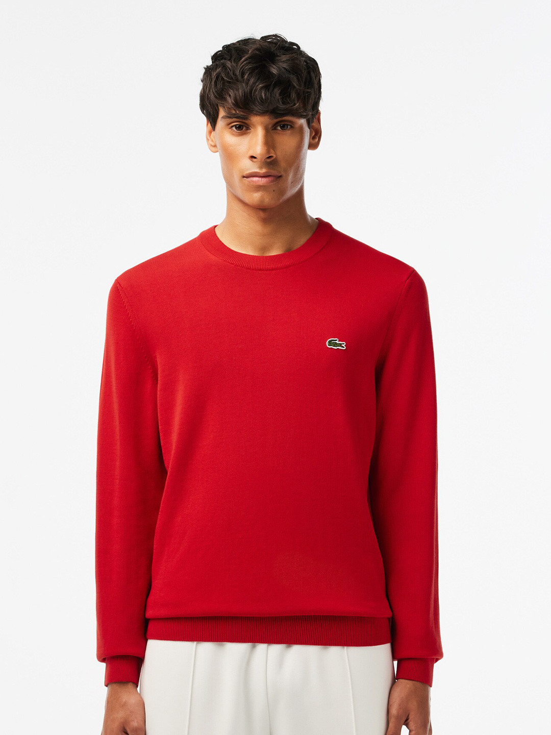 Buy Lacoste Round Neck Cotton Pullover Sweater - Sweaters for Men ...