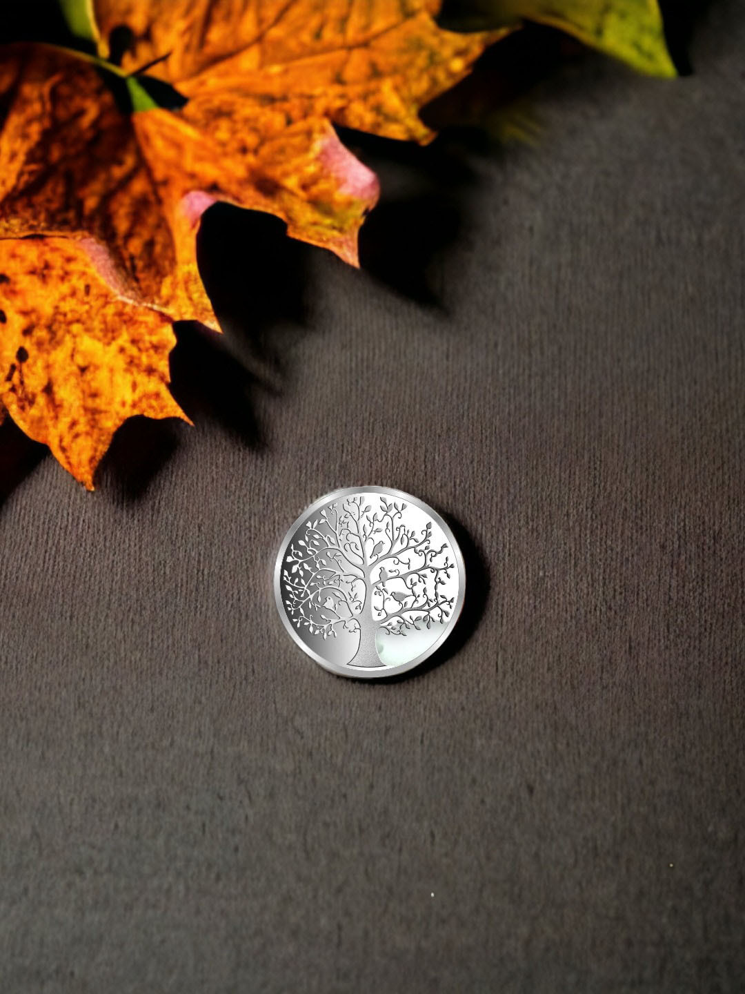 Buy Taraash Banyan Tree 999 Silver Coin 5gm - Silver Coins for Unisex ...