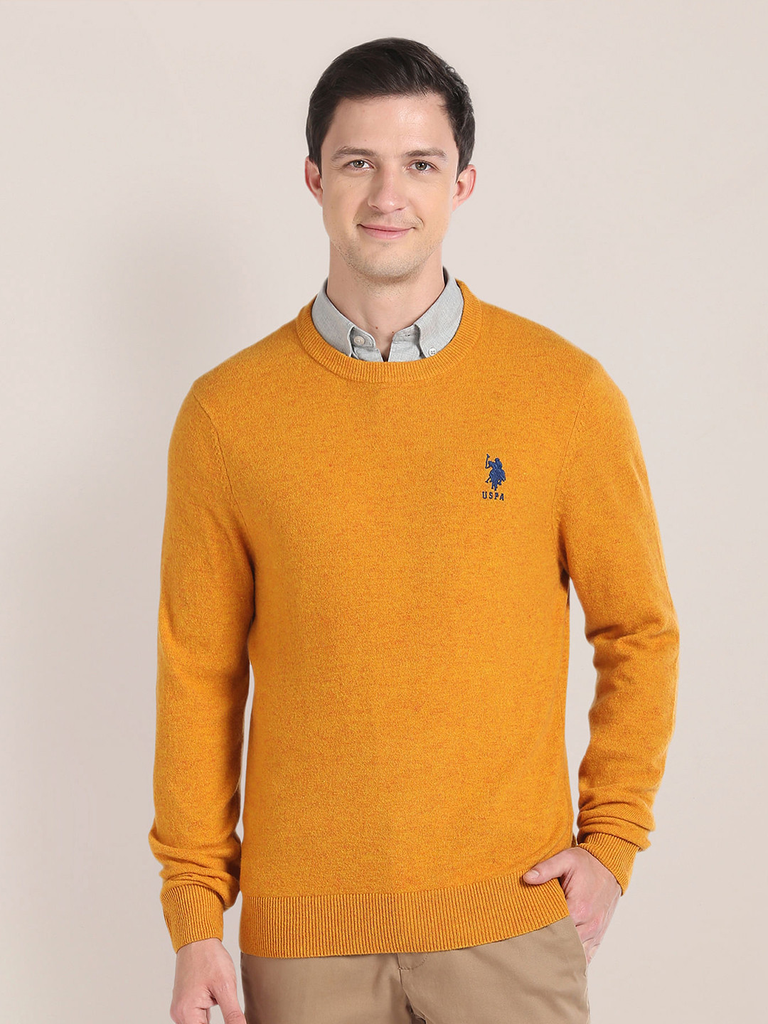 Buy U.S. Polo Assn. Embroidered Brand Logo Long Sleeves Pullover ...