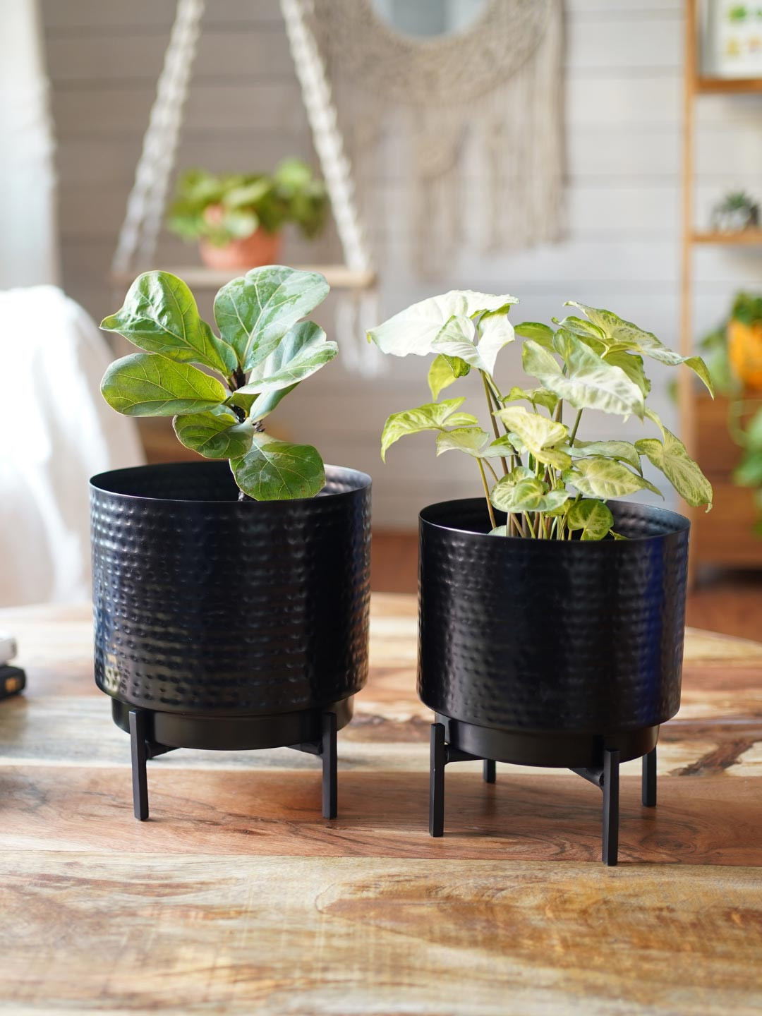 Buy BEHOMA Black 2 Pieces Hammered Planters With Stand - Planters for ...