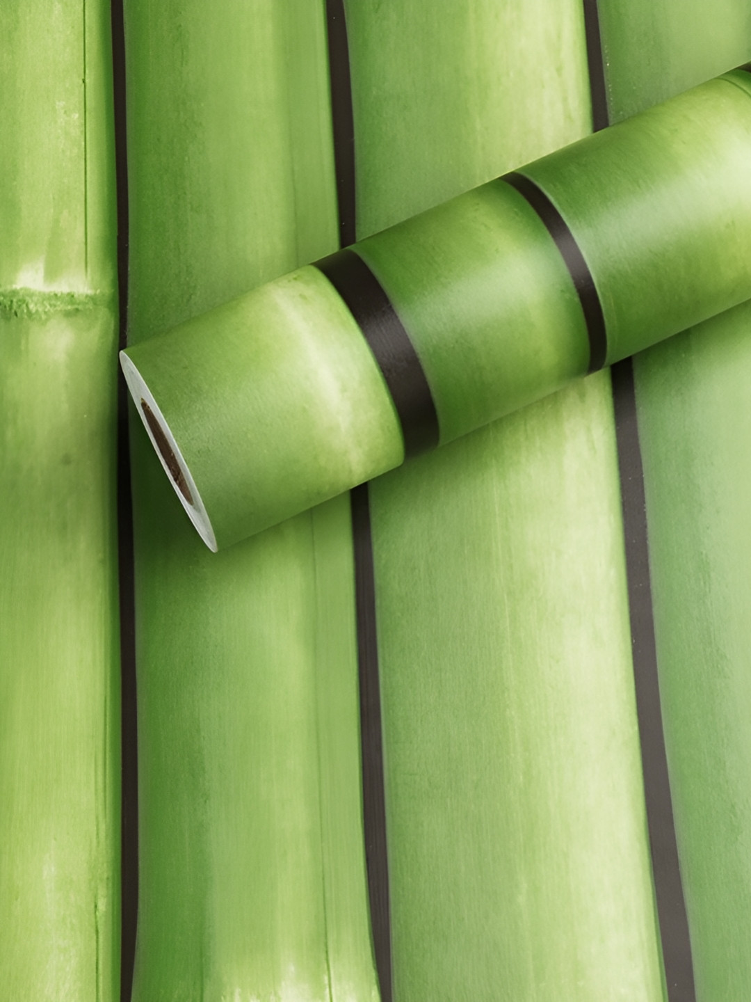 Buy Oren Empower Green Beauty Of Bamboo DIY Wallpaper Stickers - Decals ...