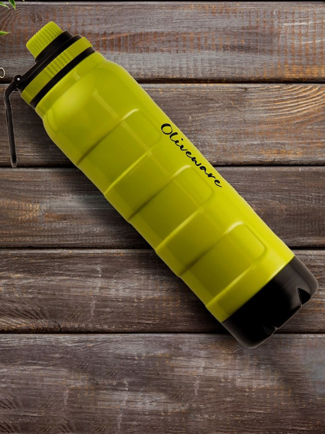 Buy SOPL OLIVEWARE Green Printed Water Bottle 500 ML - Water Bottle for ...