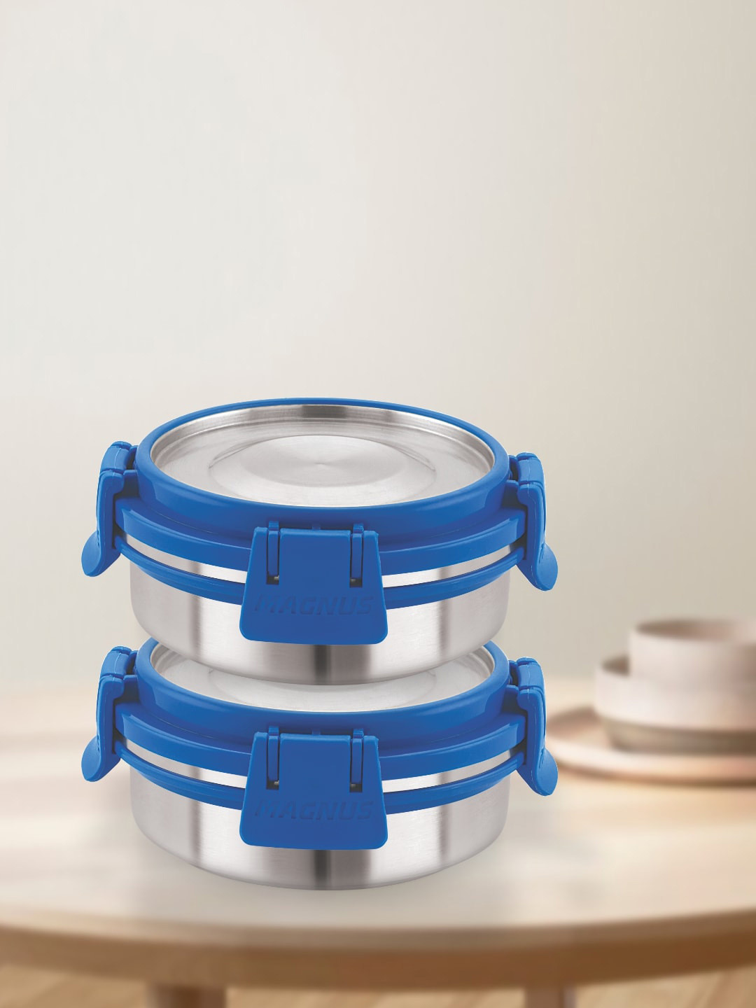 Buy MAGNUS Blue & Silver Toned 2 Pieces Stainless Steel Lunch Box ...