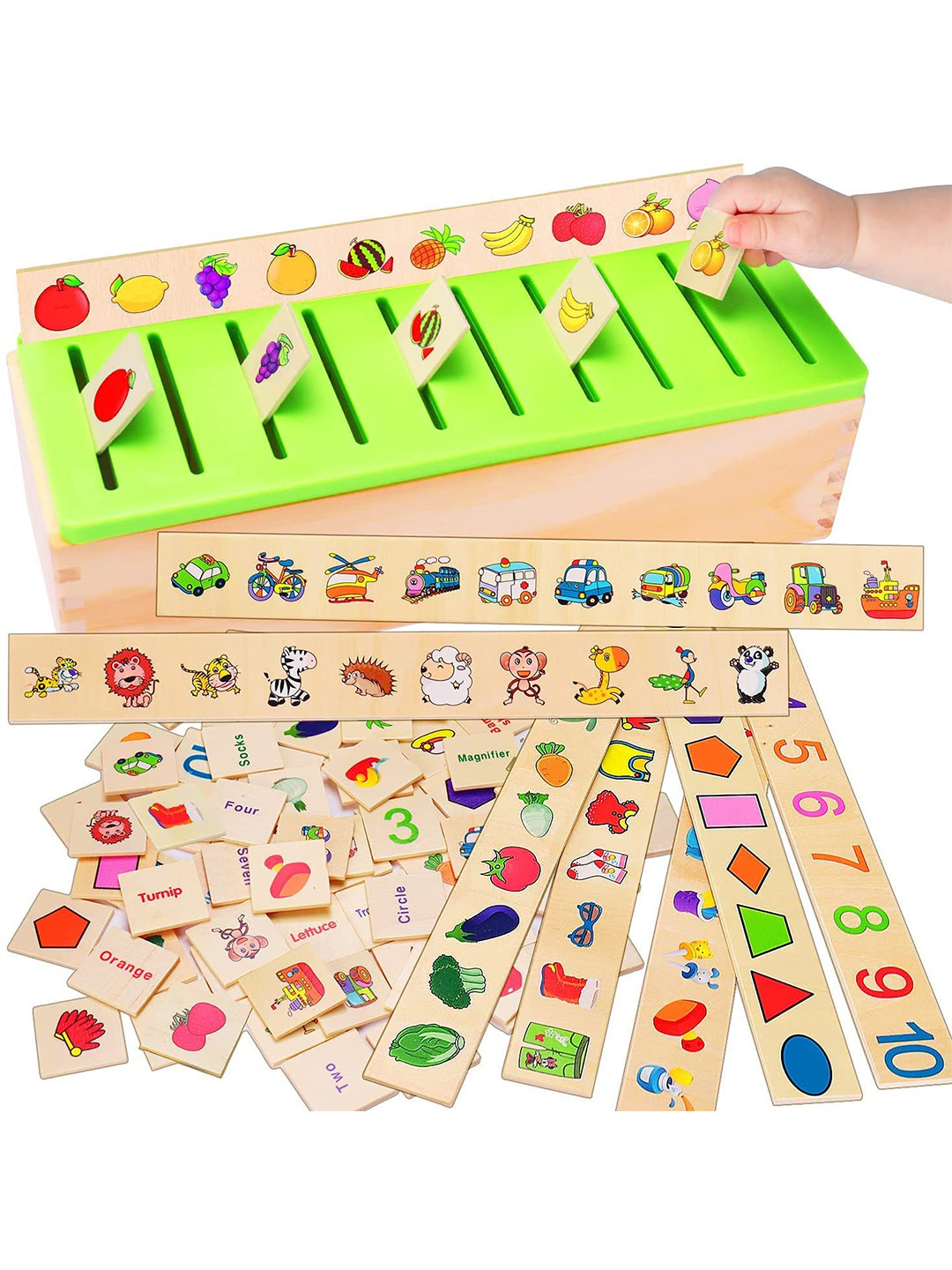 Buy MUREN Kids Sorting Box Educational Toys - Activity Toys And Games ...