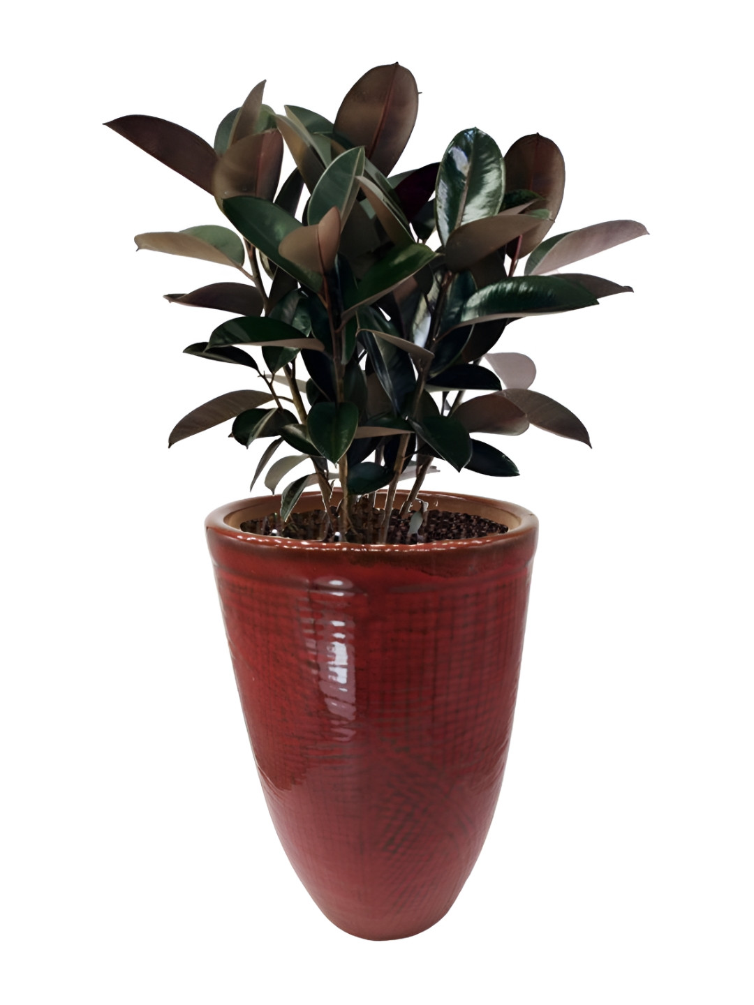 Buy INDIA MEETS INDIA Red Textured Ceramic Planter - Planters for ...