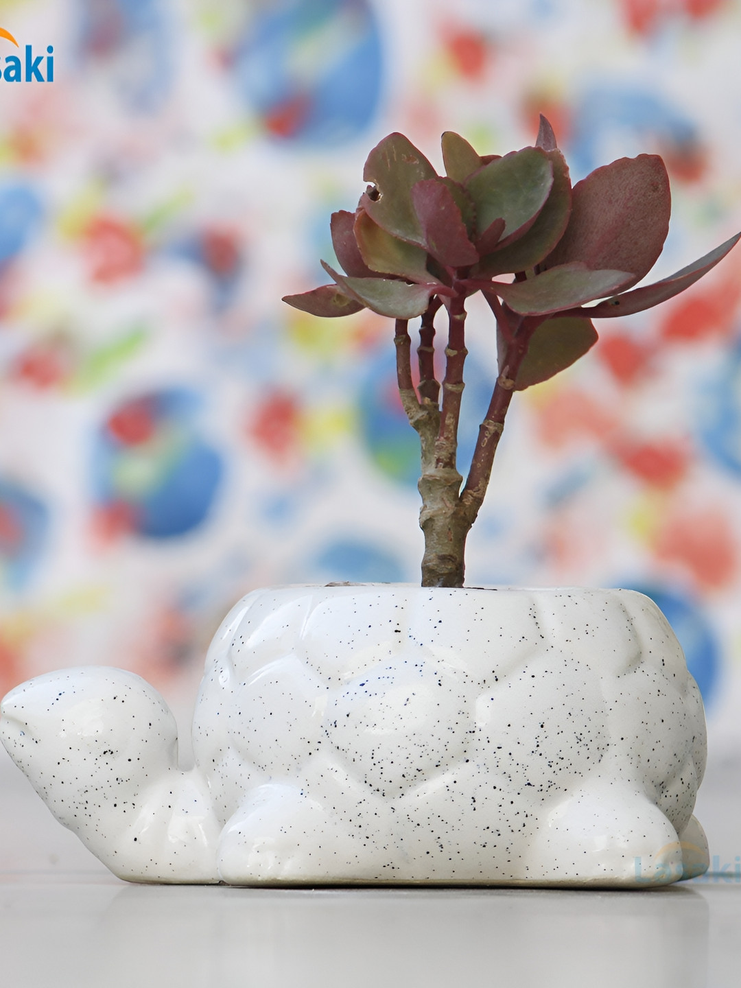 Buy LASAKI White Ceramic Tortoise Shaped Planter - Planters for Unisex ...