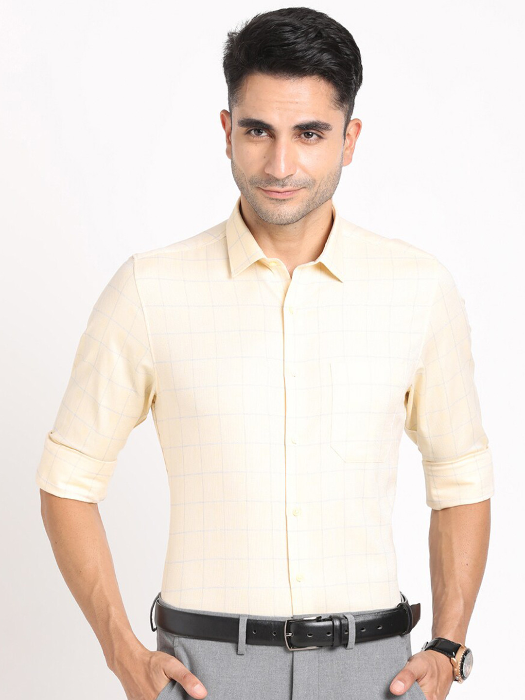 Buy Turtle Standard Slim Fit Checked Pure Cotton Formal Shirt - Shirts ...