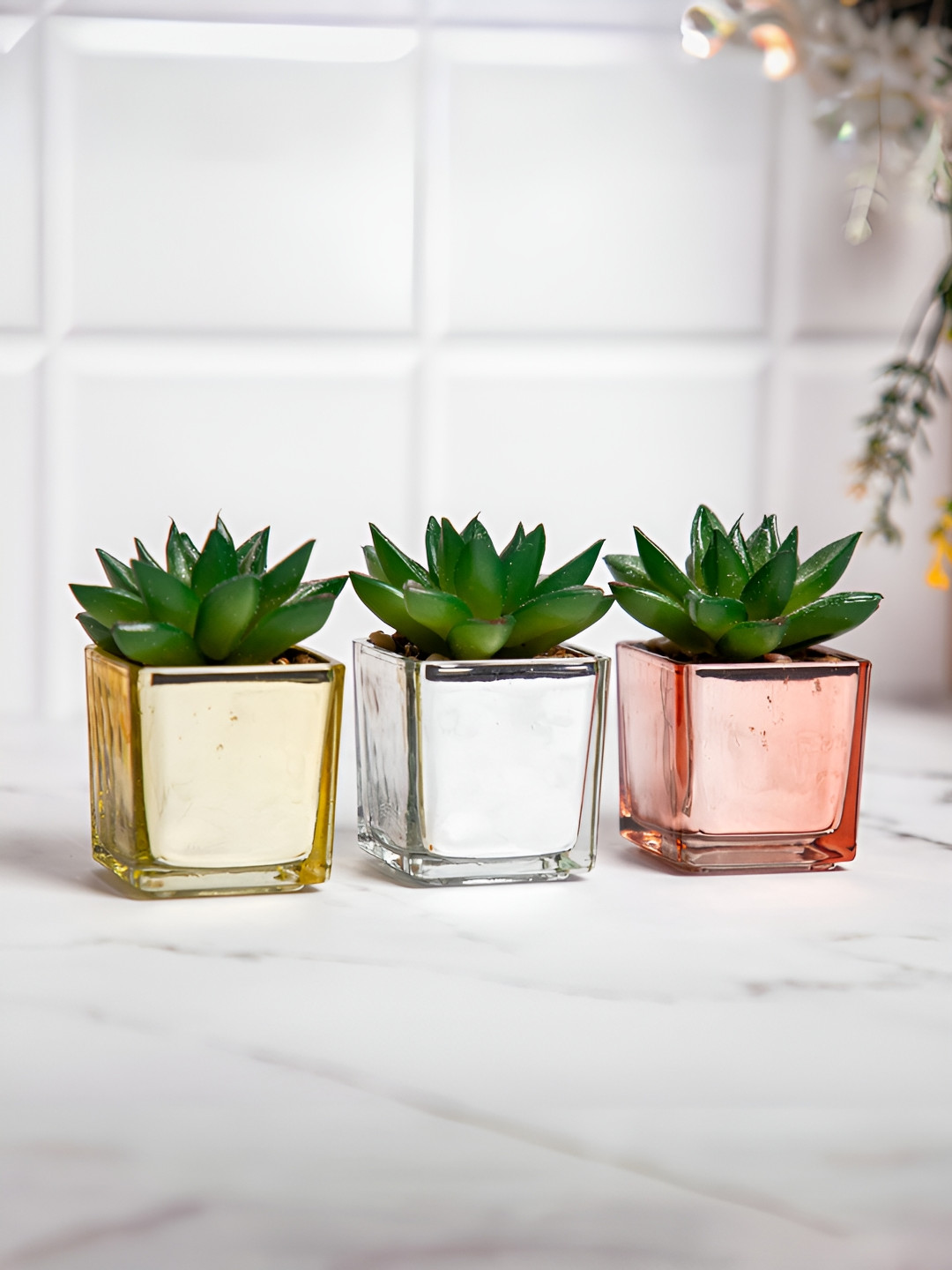 Buy Anko Gold Toned 3 Pieces Succulent Artificial Plant With Pot ...
