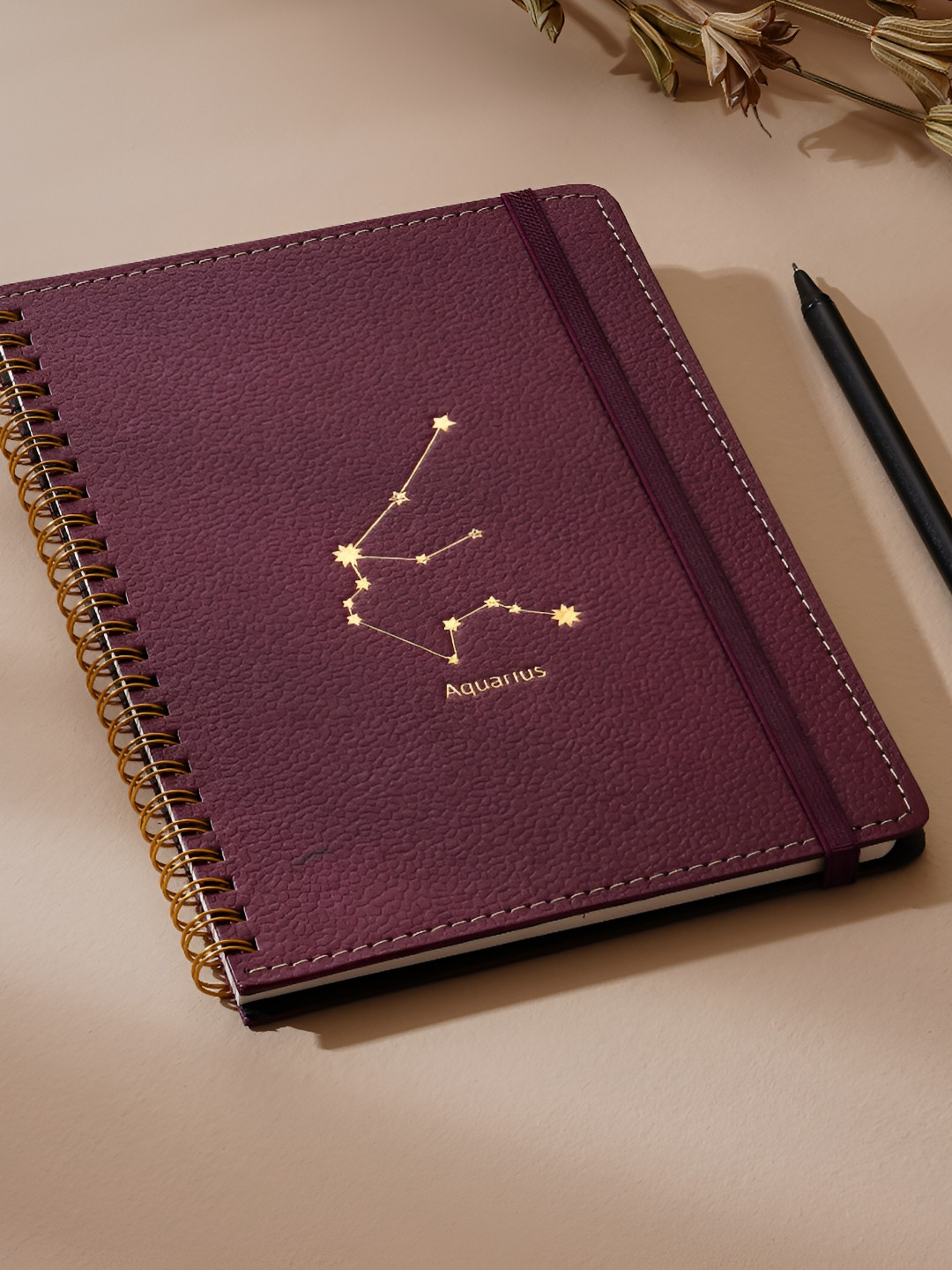 Buy Home Centre Corsica Zodiac Aquarius A5 Notebook - Stationery for ...