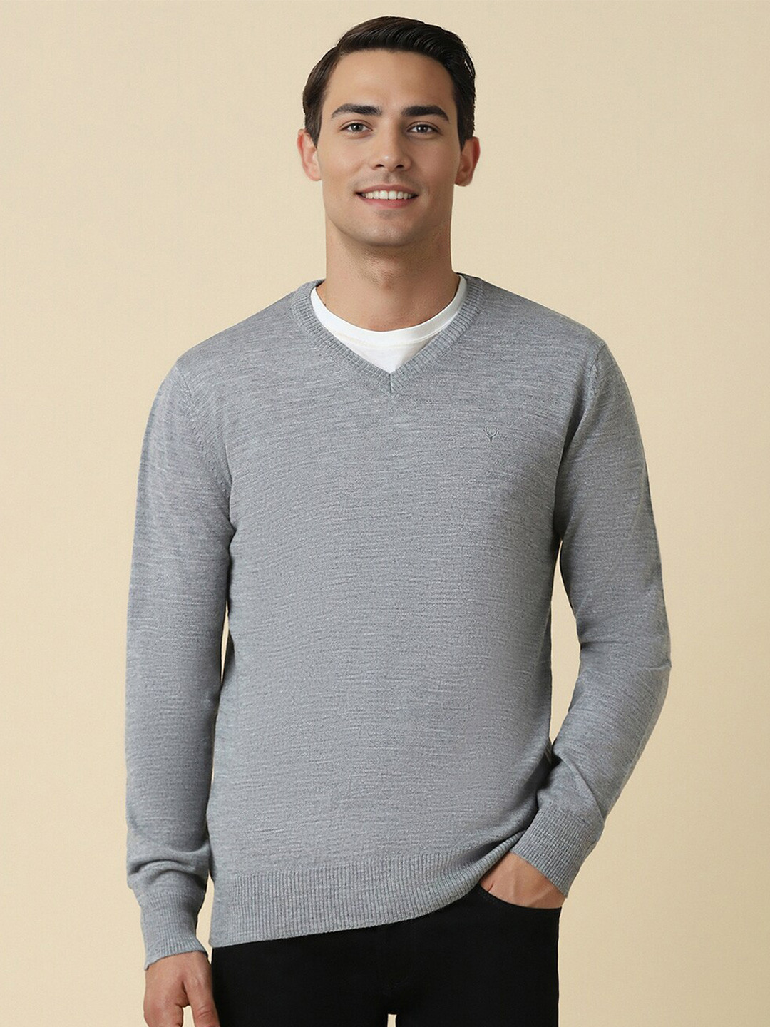Buy Allen Solly Textured V Neck Full Sleeves Sweater - Sweaters for Men ...