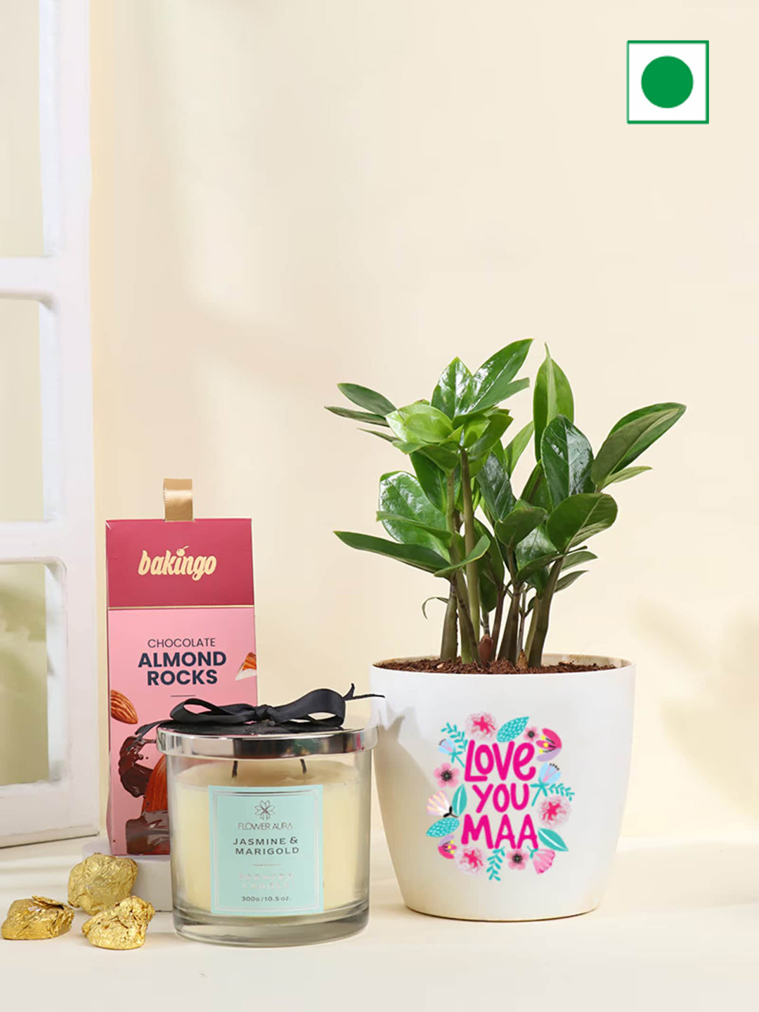 Buy Floweraura Air Purify Live Zamioculous Indoor Plant In Pot With ...