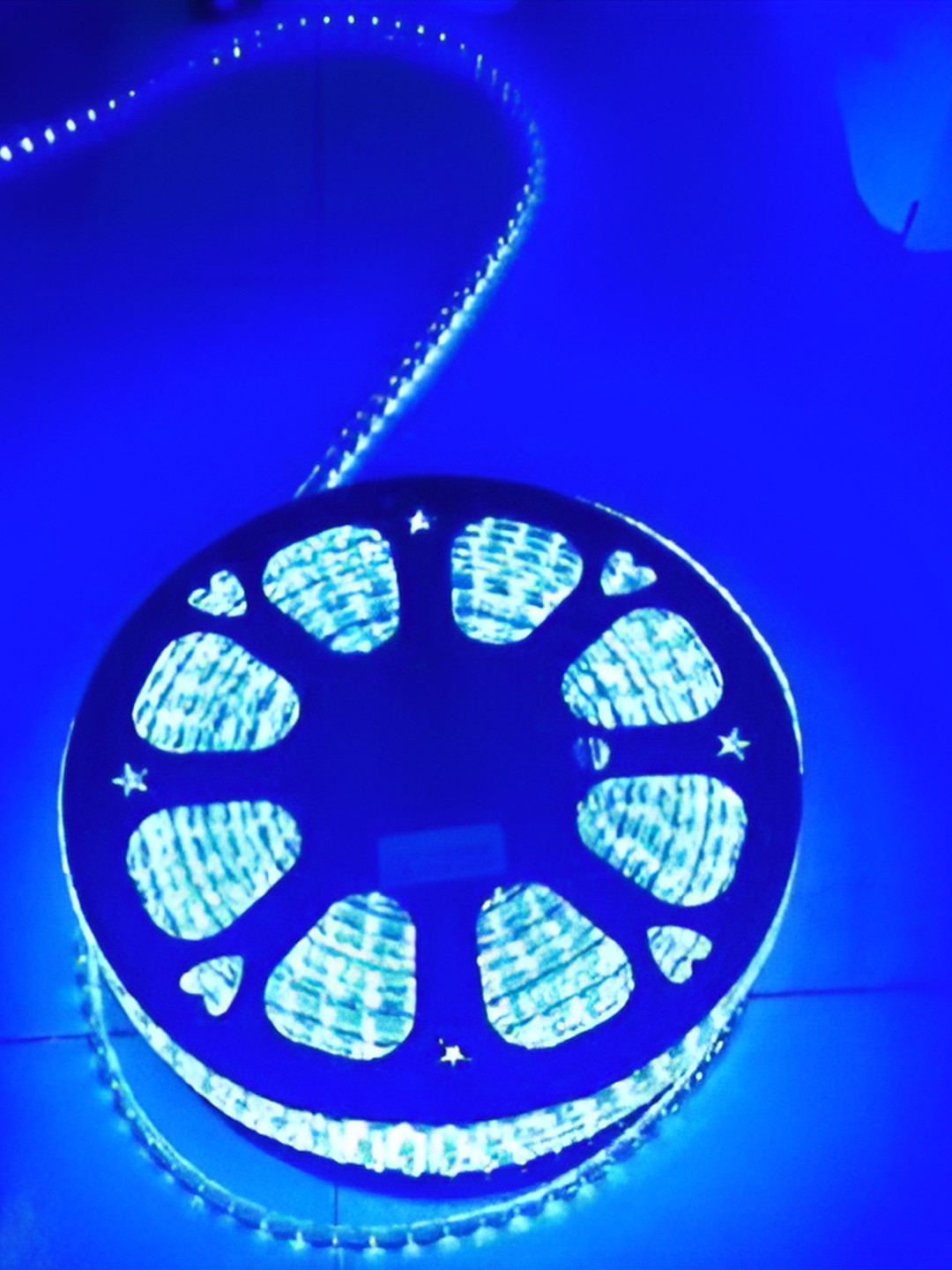 Buy SPARK WORLD Blue Rice Shaped LED Strip Lights - String Lights for ...