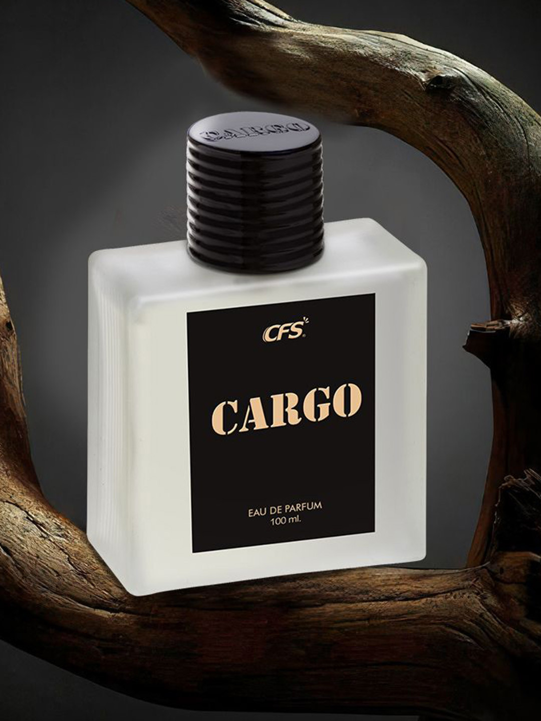 Buy CFS Cargo Eau De Parfum 100ml & Oudh Apparel Perfume 25ml - Perfume ...
