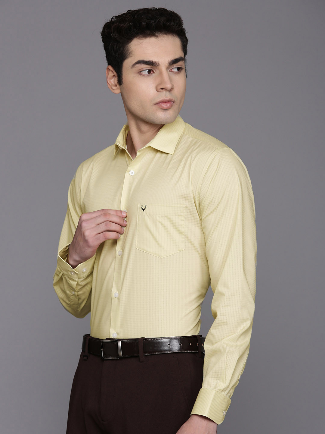 Buy Allen Solly Classic Self Checked Formal Shirt - Shirts for Men ...