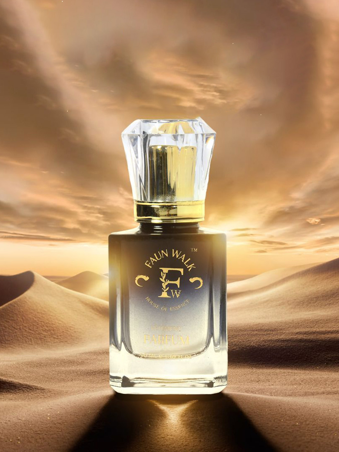 Buy FAUN WALK Men Stoic Long Lasting Eau De Parfum 50 Ml - Perfume for ...