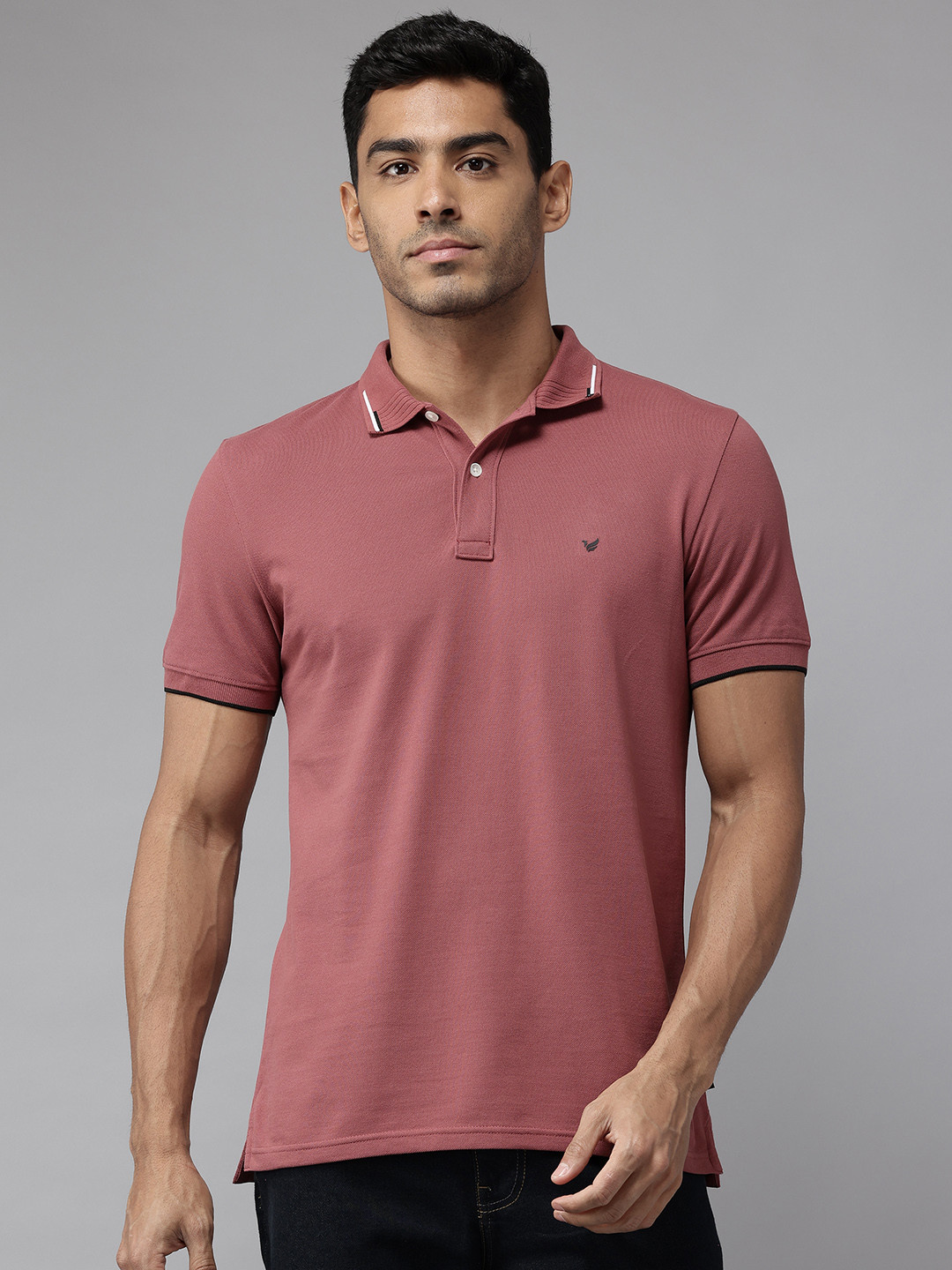 Buy Blackberrys Polo Collar Slim Fit T Shirt - Tshirts for Men 31418480 ...