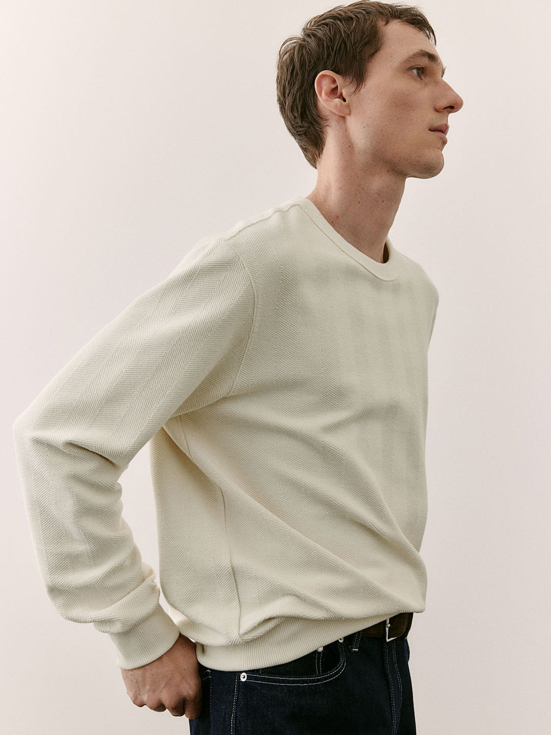 Buy H&M Regular Fit Herringbone Patterned Sweatshirt - Sweatshirts for ...