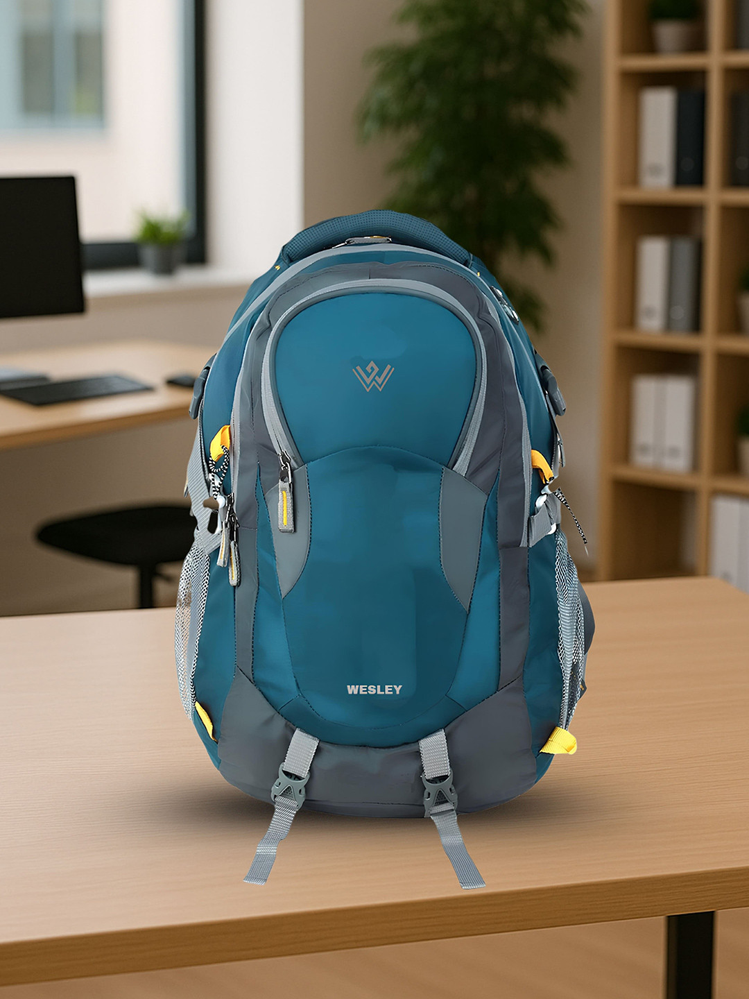 Buy Wesley Unisex Contrast Detail Backpack - Backpacks for Unisex ...