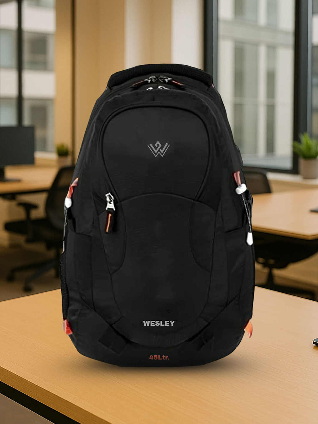 Buy Wesley Unisex Solid Backpack - Backpacks for Unisex 31988678 | Myntra
