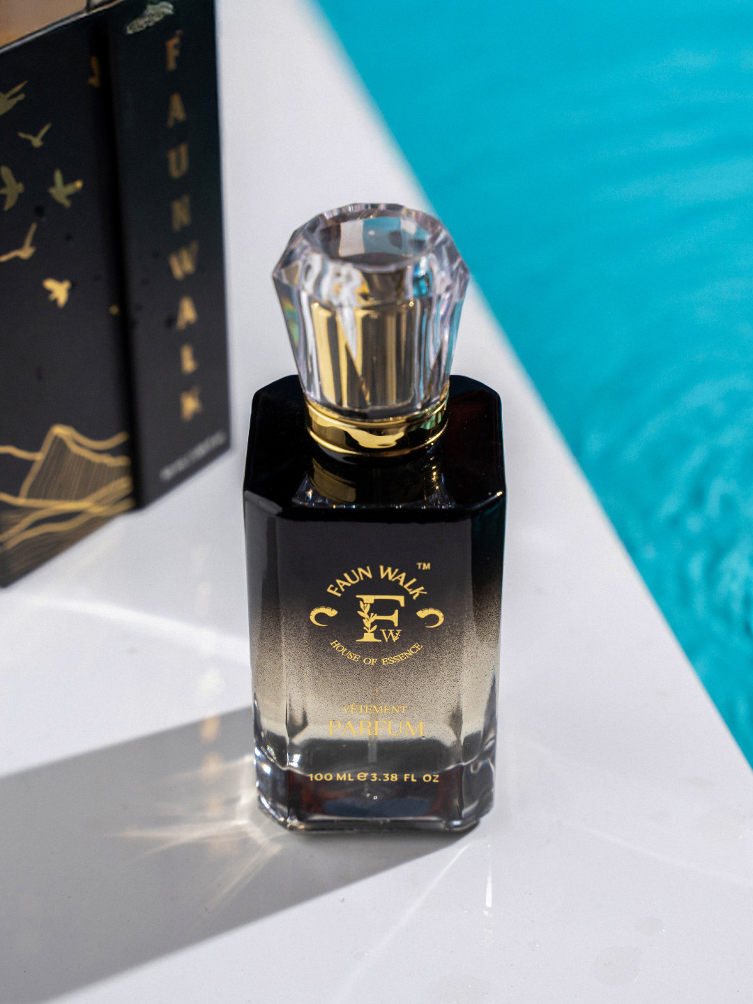 Buy FAUNWALK Men Imagination Long Lasting Perfume 100ml - Perfume for ...