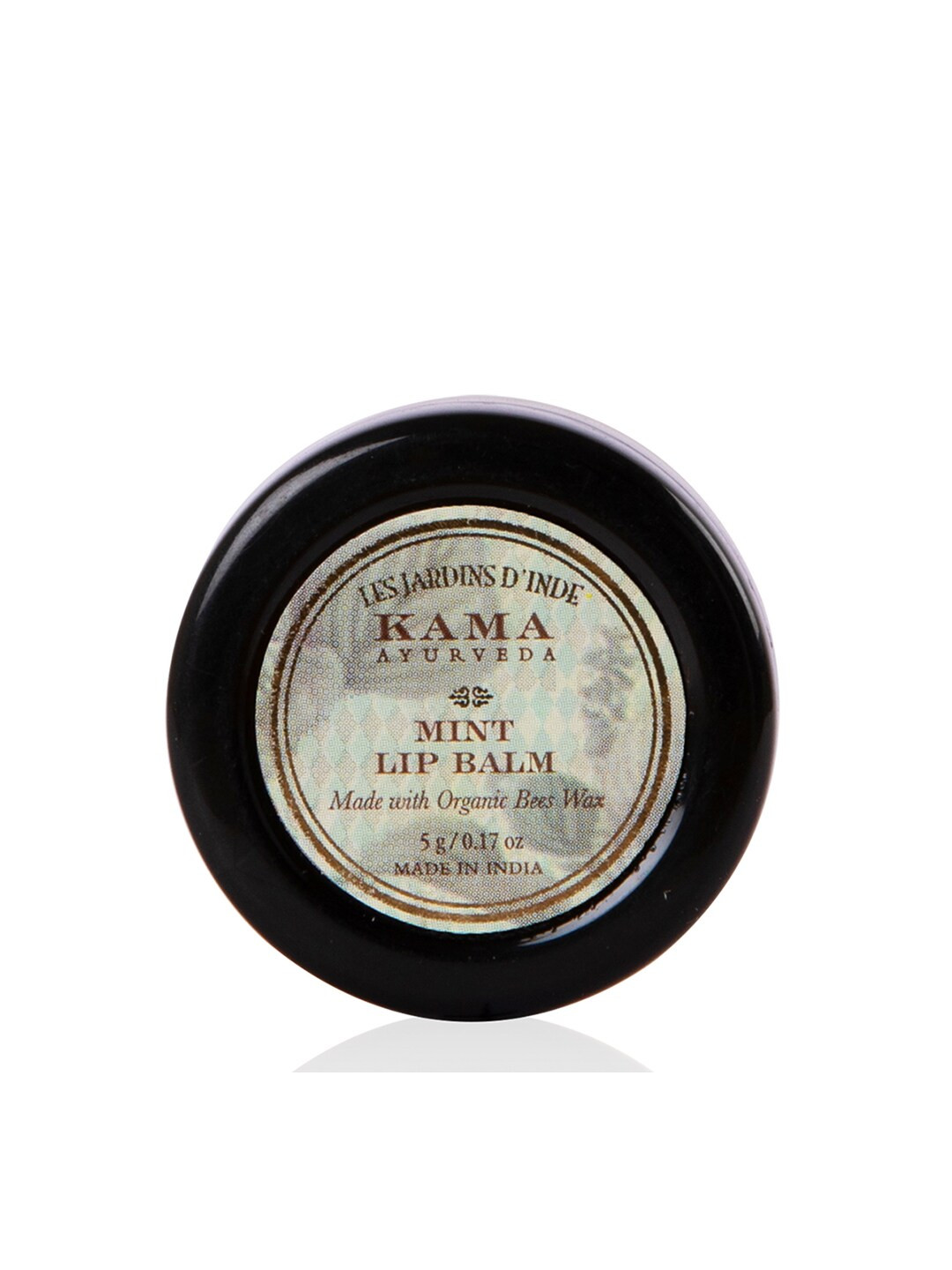 Buy KAMA AYURVEDA Sustainable Unisex Mint Lip Balm 5 G - Lip Balm for ...