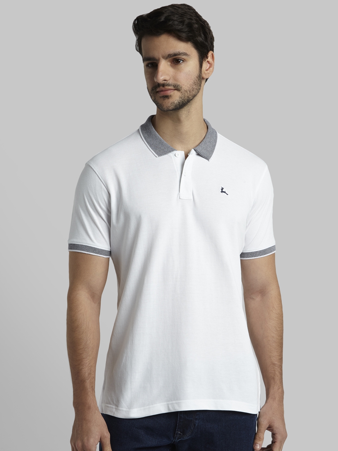 Buy Parx Men White Solid Polo Collar Pure Cotton T Shirt Tshirts For