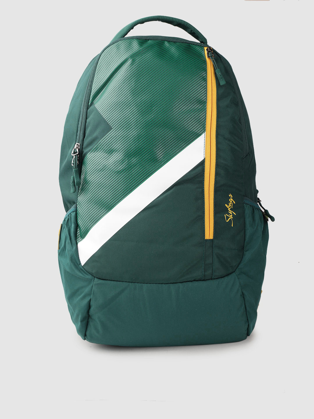 Buy Skybags Unisex Green Striped Laptop Backpack - Backpacks for Unisex ...