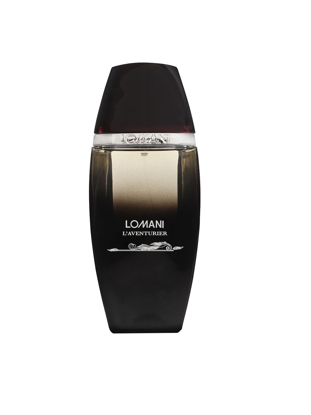 Buy Lomani Men L'Aventurier Perfume 100ml - Perfume for Men 11103508 ...