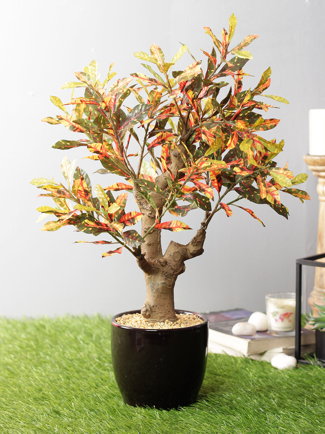 Buy PolliNation Red Artificial Croton Bonsai With Black Ceramic Pot ...