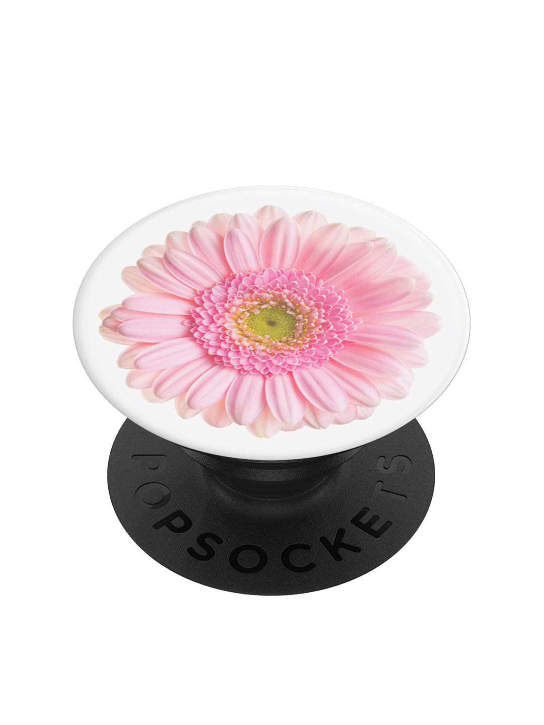 Buy PopSockets Pink & White Gerber Daisy Basic PopGrip - Mobile ...