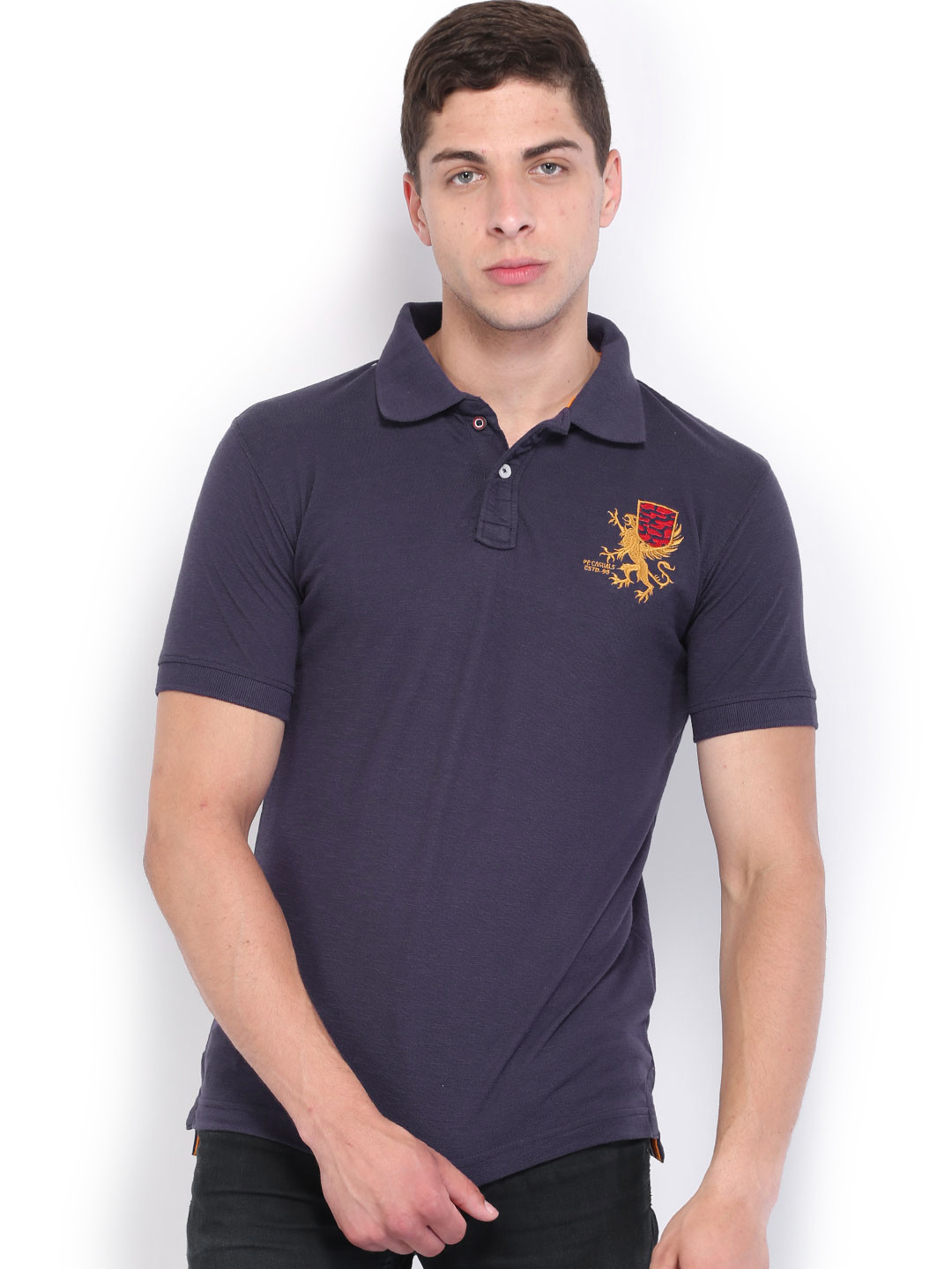 Buy Peter England Men Navy Polo T Shirt - Tshirts for Men 419370 | Myntra