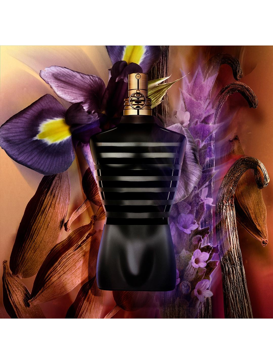 Buy Jean Paul Gaultier Le Male Eau De Parfum 75ML - Perfume for Men ...