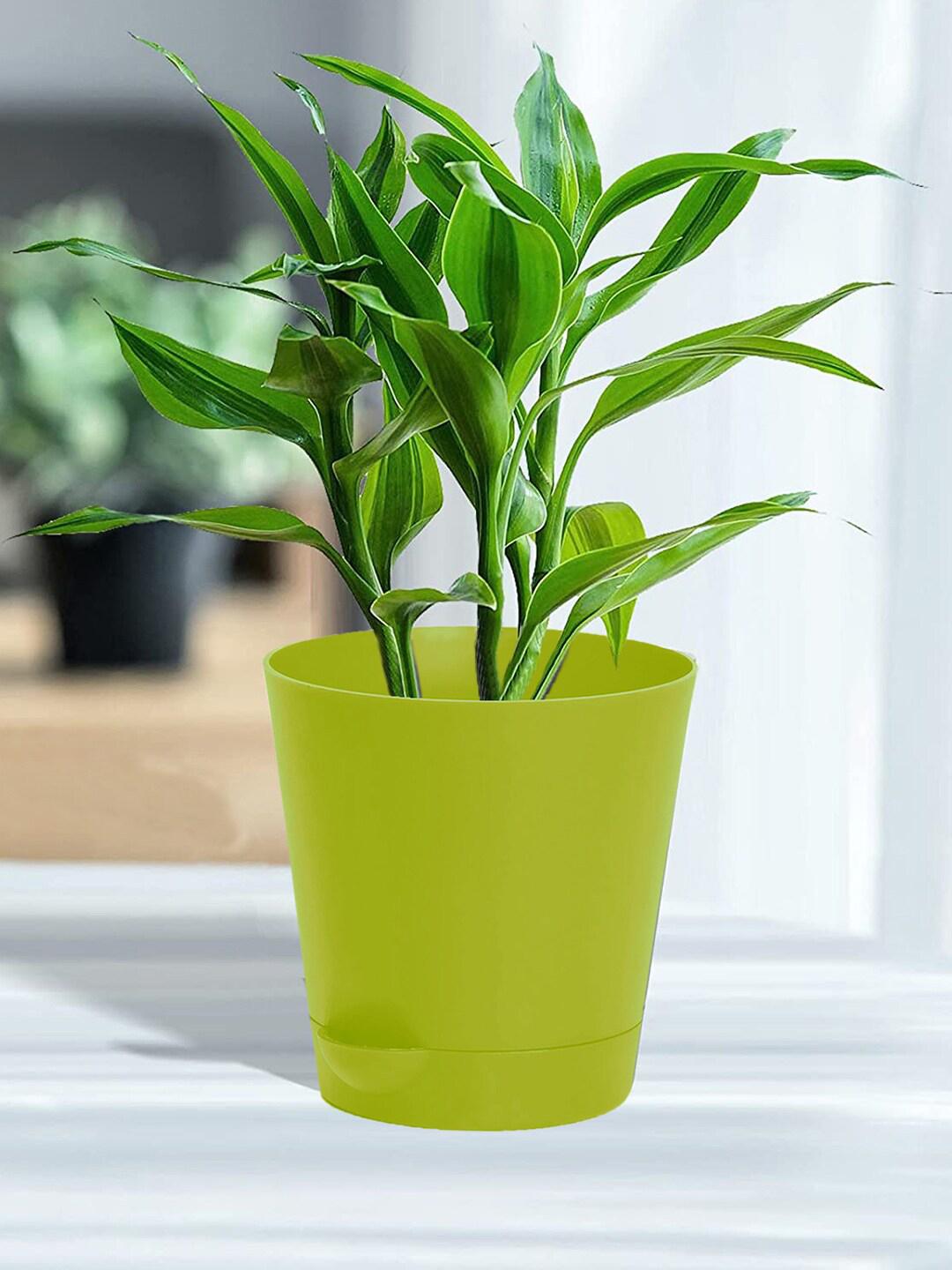 Buy Kuber Industries Set Of 6 Green Plastic Titan Pot Flower Pots ...