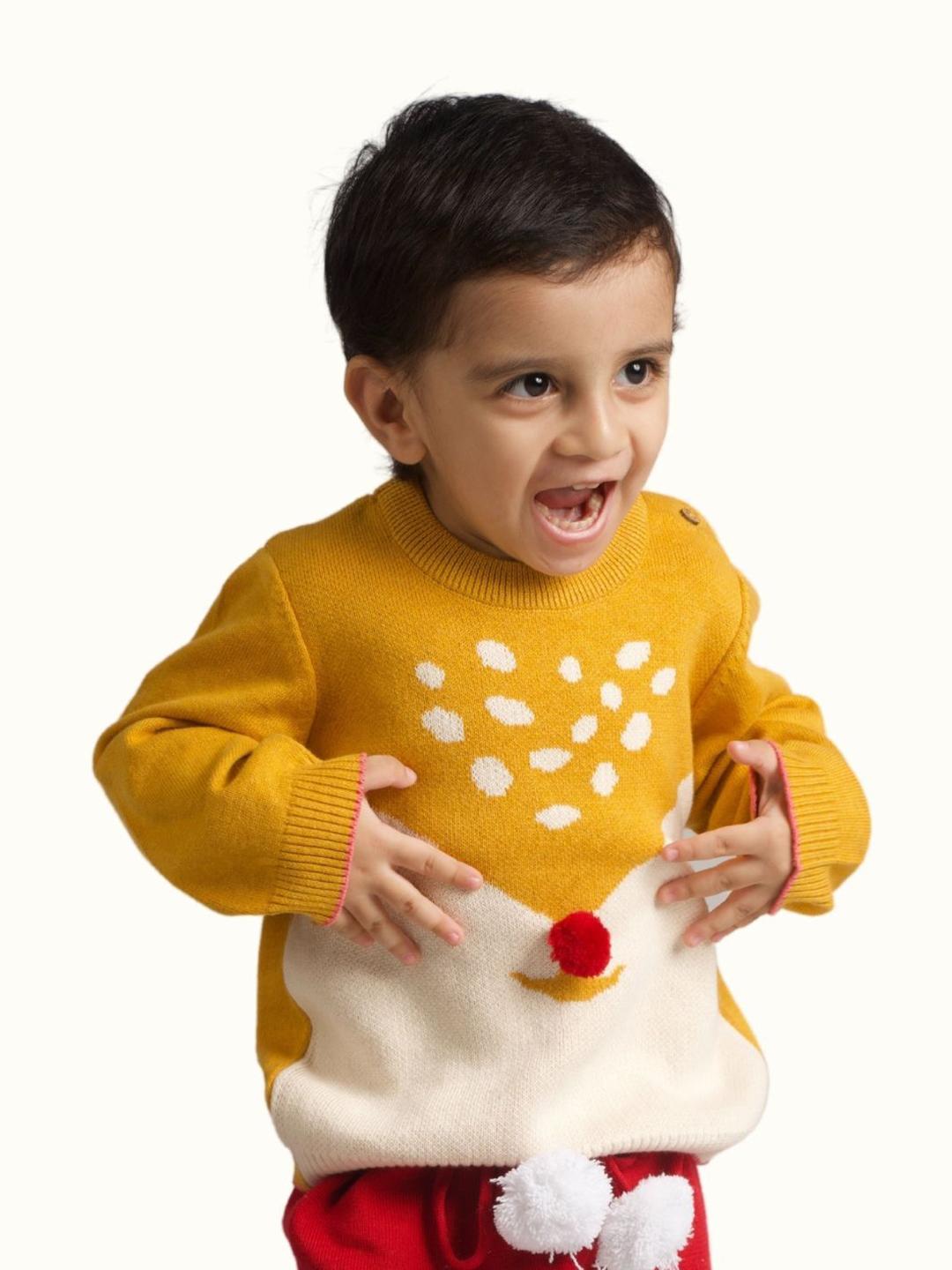 Buy Greendeer Kids Colourblocked Pullover Sweaters - Sweaters for ...