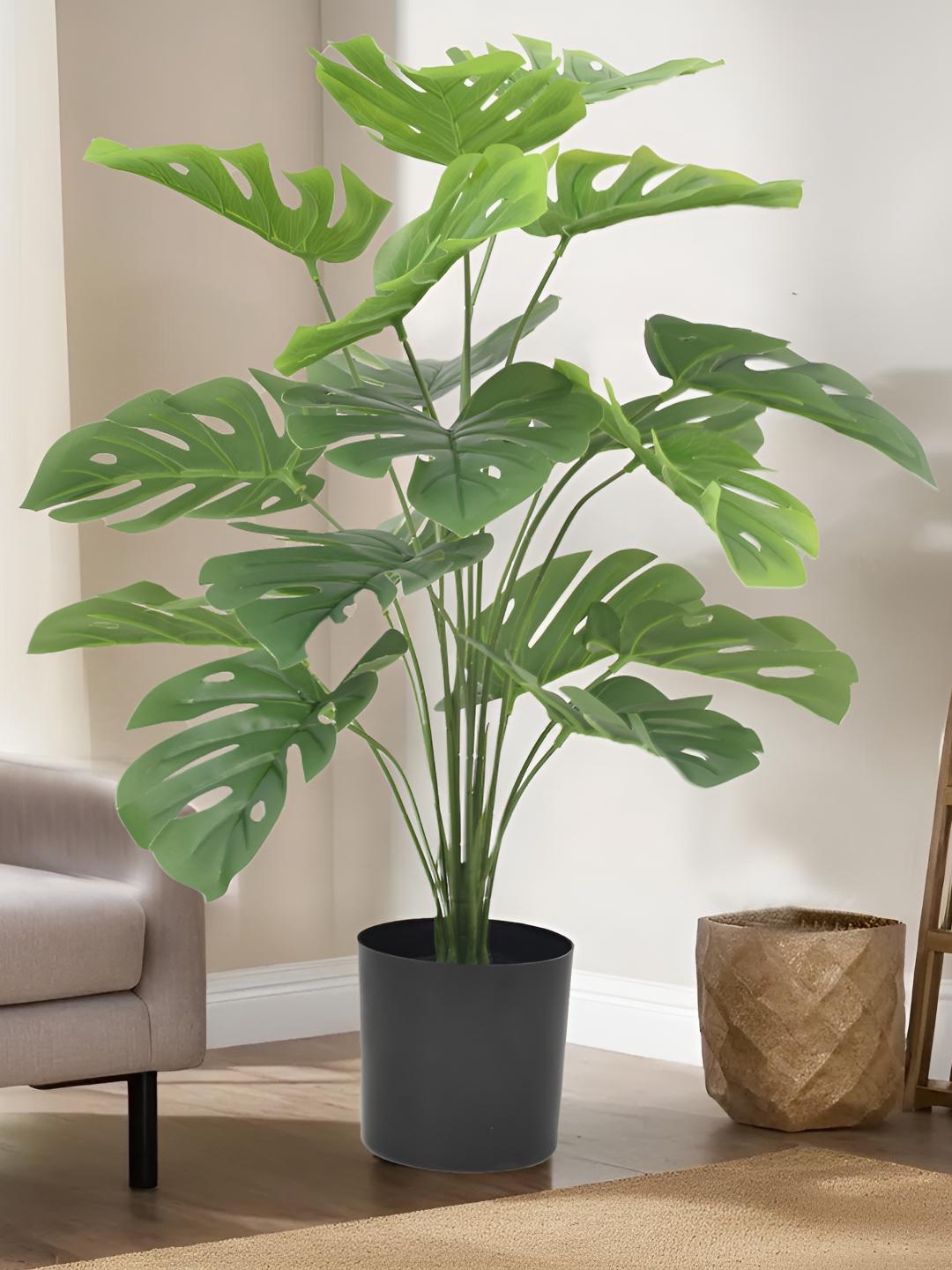 Buy UMAI Green Monstera Bonsai Artificial Plant With Pot - Artificial ...